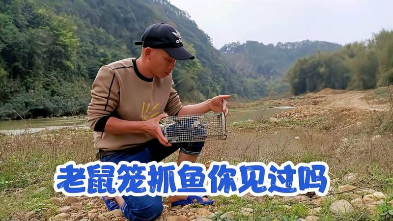 老鼠笼放进水里,制作一个简易抓鱼陷阱,光头仔能成功捉到鱼吗