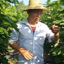 皖南小王 