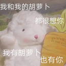 我要喝茶颜 
