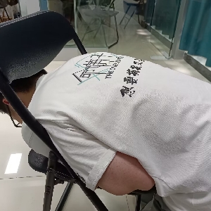 西小昂很想玩融合 