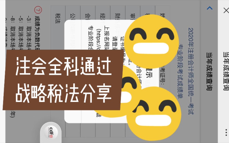 审计狗vlog 女友注会全科通过 重大项目负责人的战略税法经验分享