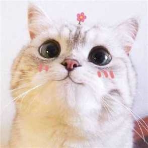 等下次黄昏见 