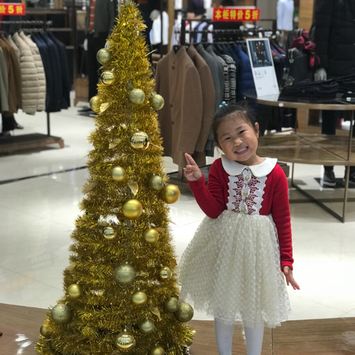 bili_13356292326 