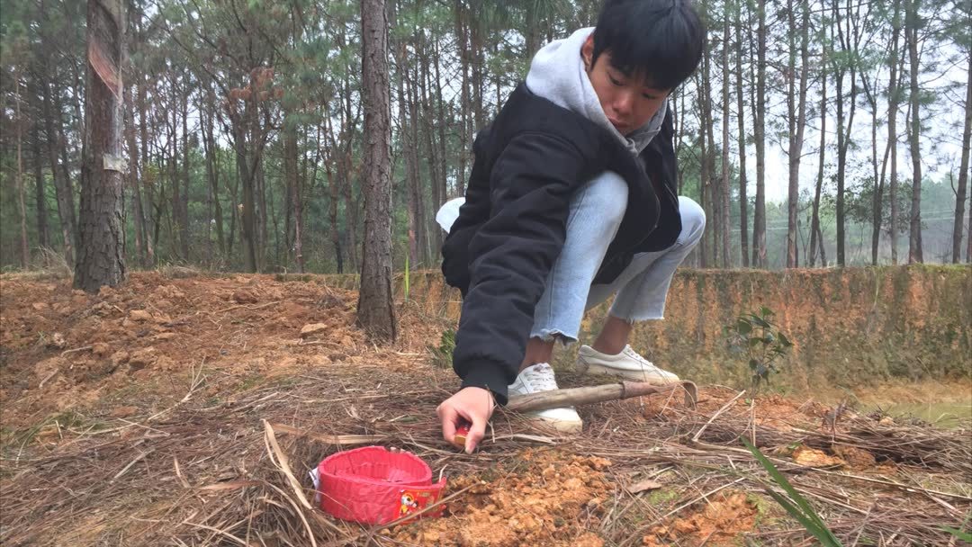 农村毒蚂蚁太多,春耕时不小心就被咬,小伙只用一招把蚂蚁连锅端