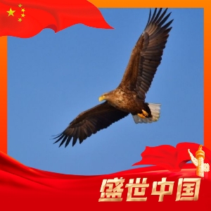 中原北忘 