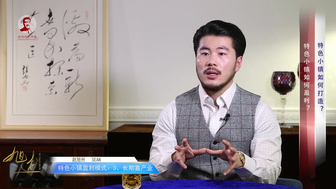 特色小镇的盈利模式是什么?大师赵旭州:挣钱这事儿不能急于朝夕