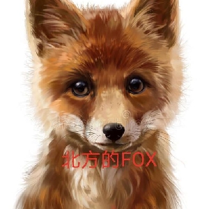 北方的FOX 