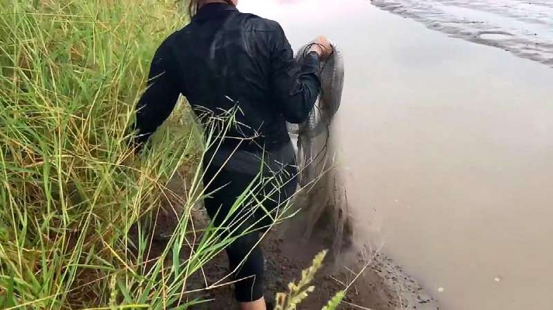 谁说女子不如男?农村姑娘轻松撒开渔网收获满满