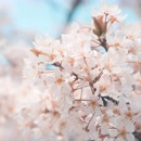 ～雨轩～ߍ 