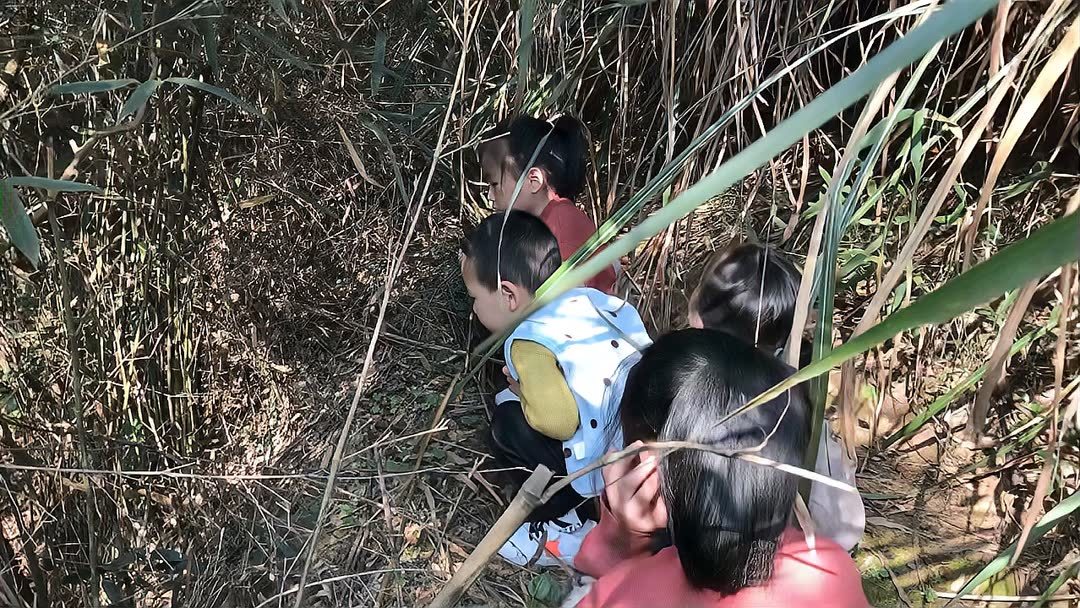 走进森林,这种带娃方式不被认同,但孩子们的表现却很意外