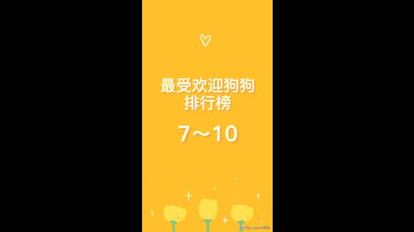 最受欢迎狗狗排行榜7～10名#爱宠 #排行榜 #狗狗