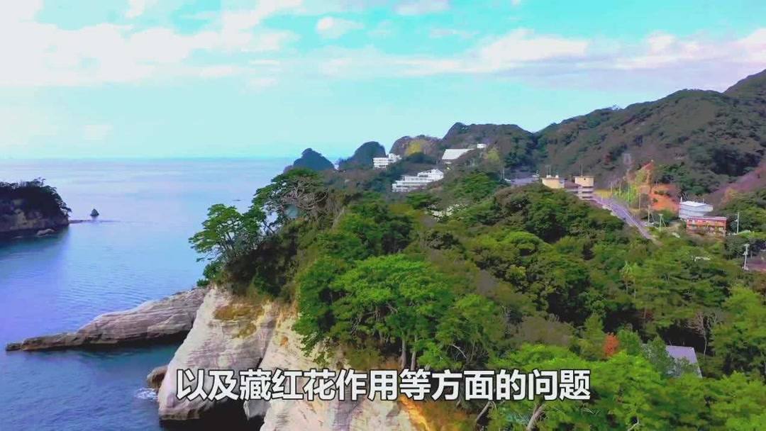 藏红花泡水喝的功效藏红花的价格,揭露藏红花泡水喝的功效藏红