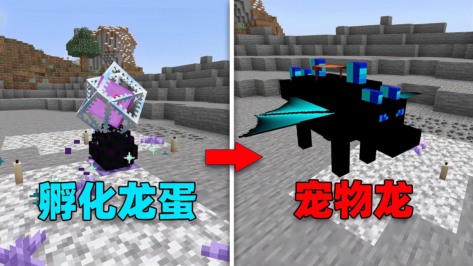 如果MC可以孵化龙蛋,养宠物龙?拥有超拉风又霸气的宠物!