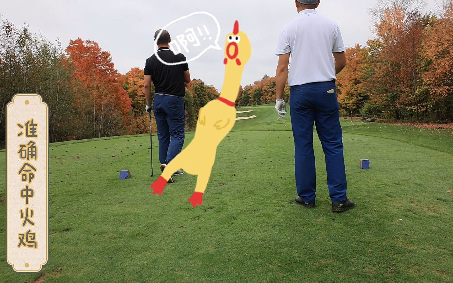 ...北美】EP28 Lake Joseph GC(终结篇)精算师也算不到开球会打到火鸡