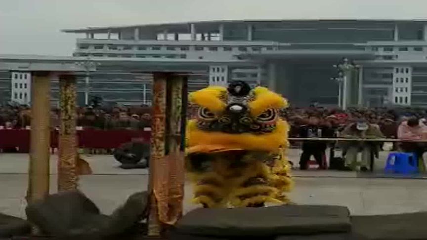 传统舞狮表演,精彩热闹相当精彩