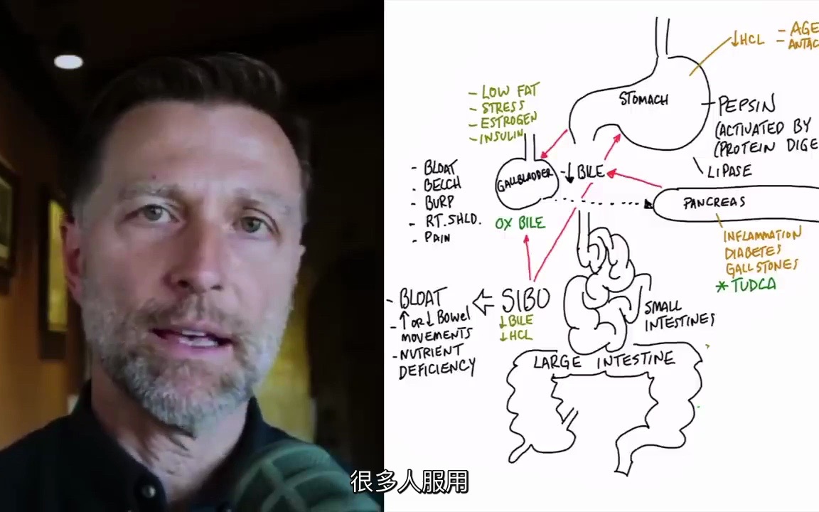 #硬核#消化酶缺乏的首要迹象