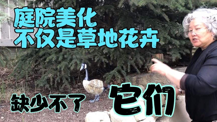 我家庭院的美化,不仅仅是草地花卉,还要添加各种饰物体现点缀美