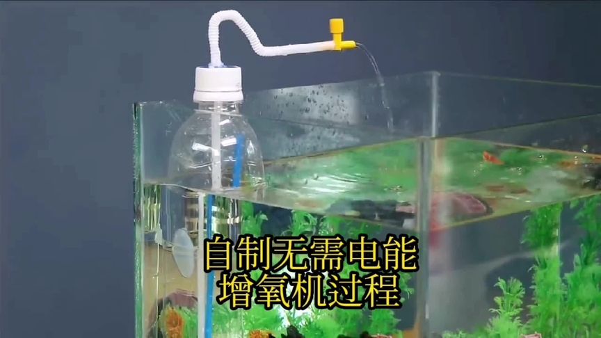 不需要电的增氧机,制作很简单,太有创意了!#动手能力培养