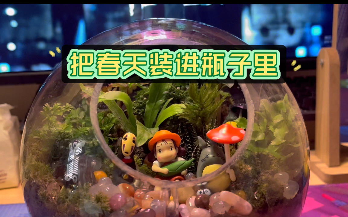 66元,一起做一个可以养小动物的雨林陆缸