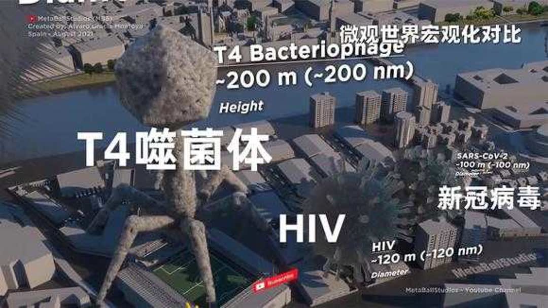 将微观世界各物质体型宏观化对比会怎样?后面的地球都装不下