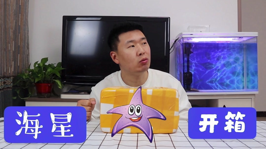 万物开箱:买了1只非常漂亮的蓝色活体海星,它的嘴在哪里呢