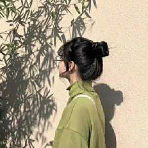 顺利上岸vv 