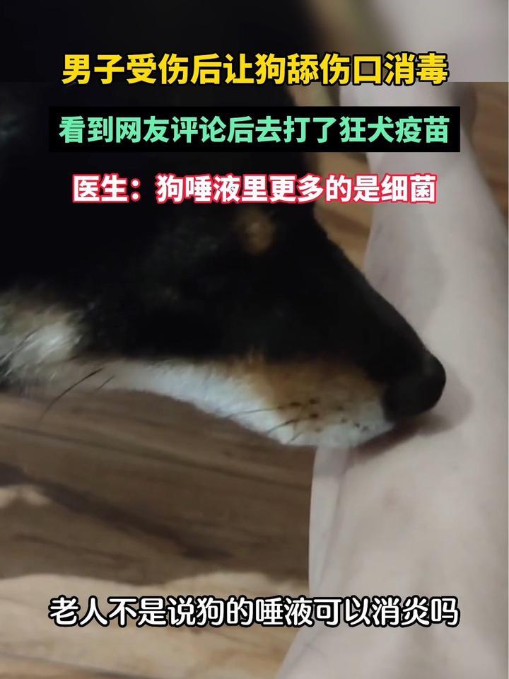 6月21日,#浙江宁波 男子受伤后让狗舔伤口消毒,当事人:看到网友评论...