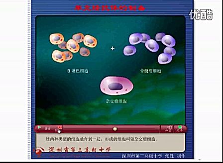 高中生物高三年级微课《单克隆抗体的制备》深圳第三高级中学【张胜...