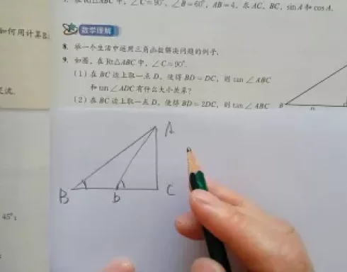 北师大版数学九年级下册三角函数复习