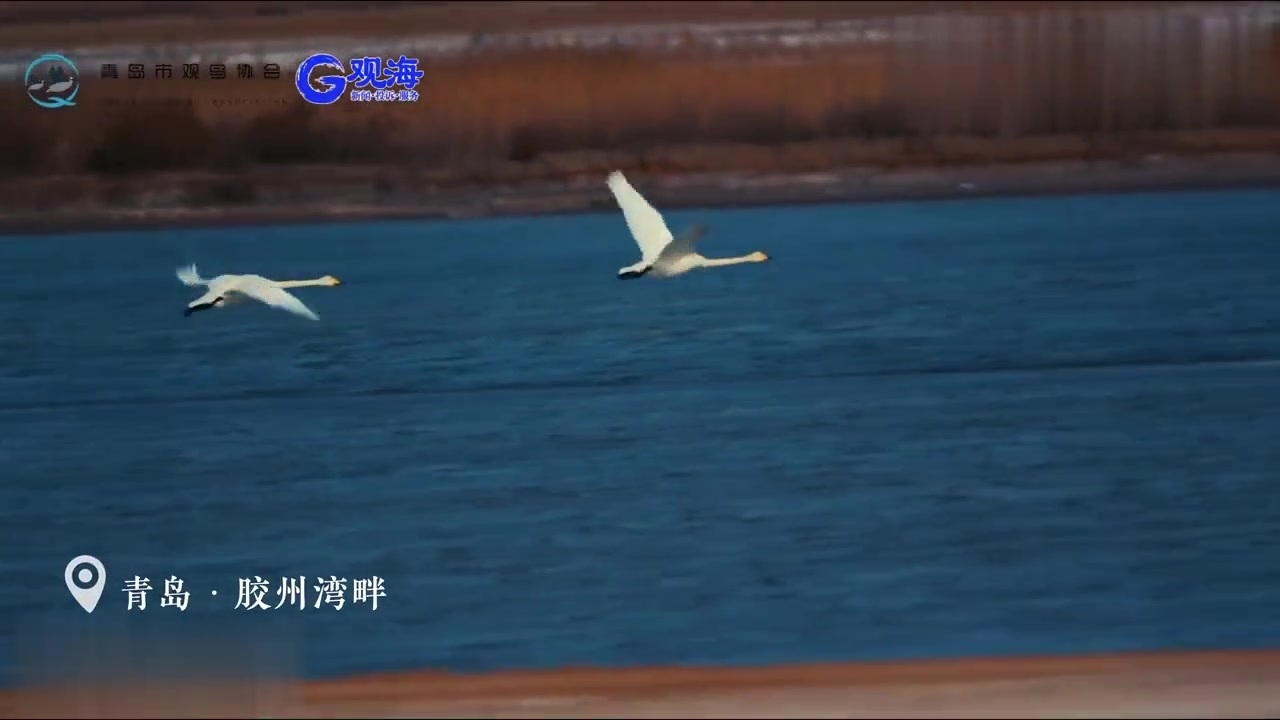 世界环境日|保护碧水蓝天,共建美丽家园#世界环境日...