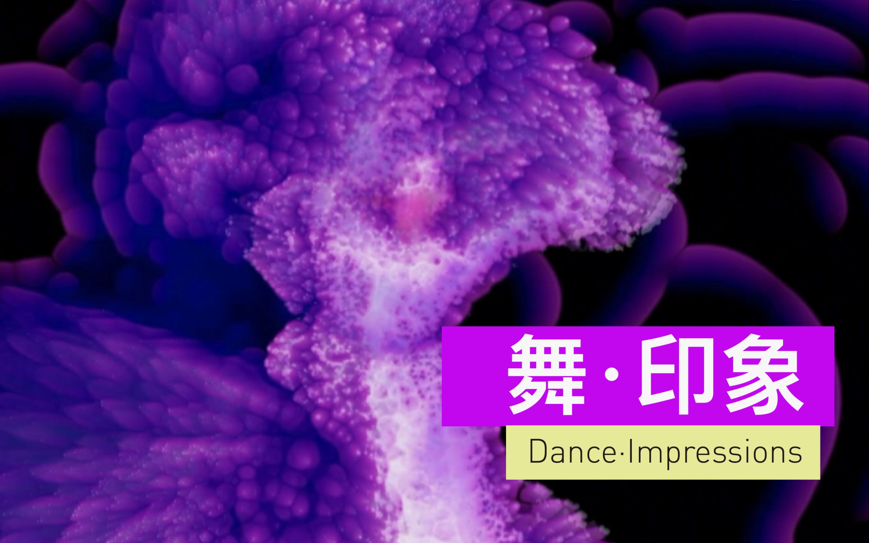 舞·印象|数字艺术|touchdesigner