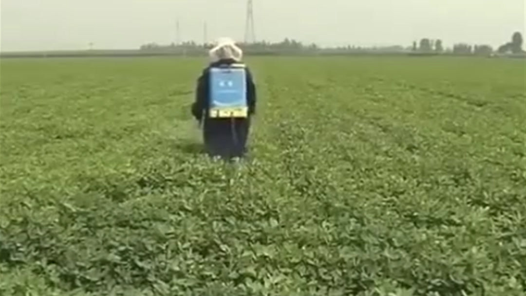 二氧化碳捕集剂 促进作物的光合作物明显 应用范围广泛且运用便捷
