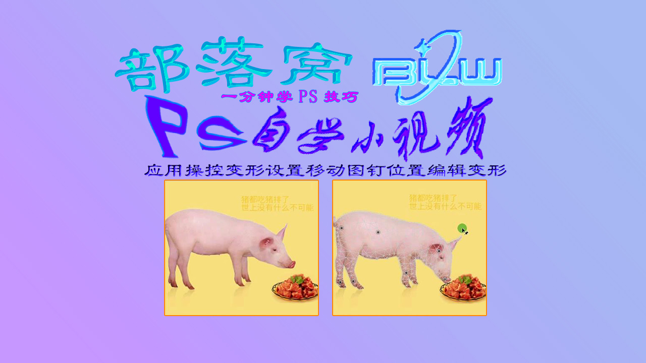 ps制作猪吃食物视频:应用操控变形设置移动图钉位置编辑变形