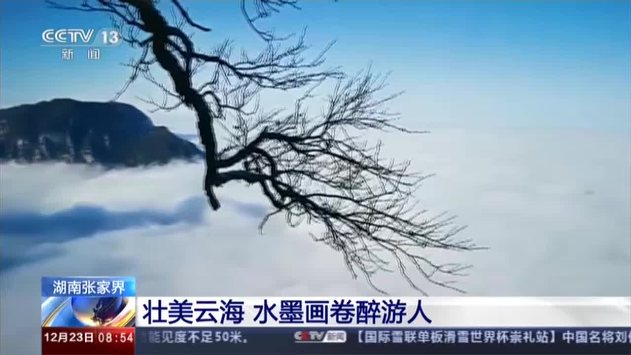 湖南张家界:壮美云海 水墨画卷醉游人