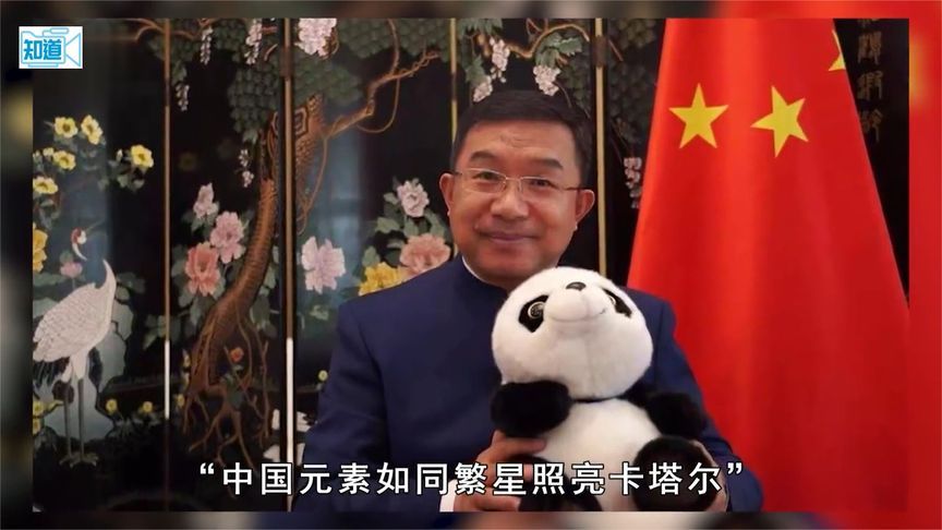 中国是世界杯"秘密赢家"!德媒:"中国制造"在卡塔尔随处可见