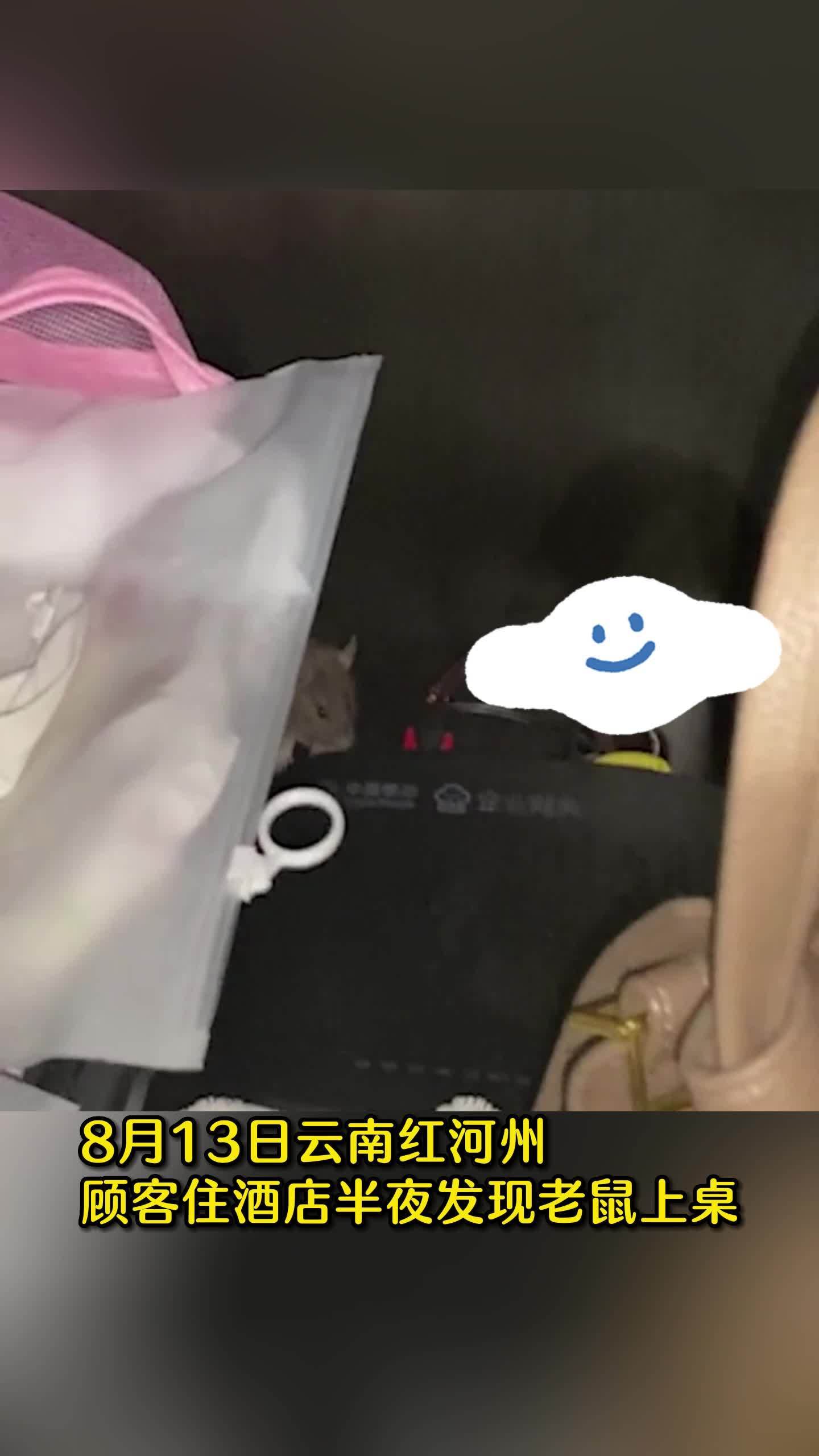 顾客住店半夜发现老鼠上桌,酒店:已和客人沟通处理了。