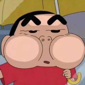 一只帅气的小金 