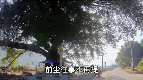 乡村的美丽生活,有一双发现美的眼睛,带大家看看我住的这个村