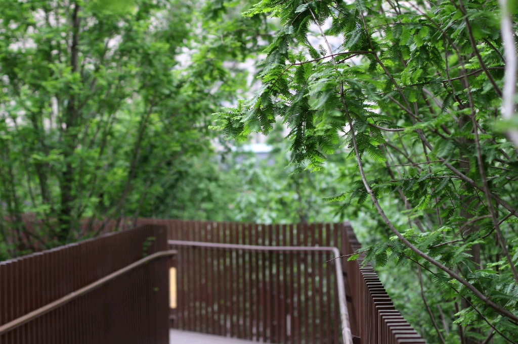 ...绿意盈盈;入,则车模玩偶书柜充盈。柴米油盐接地气,车球书图立梦想。