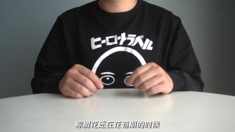 棕树的花可以吃吗及功效