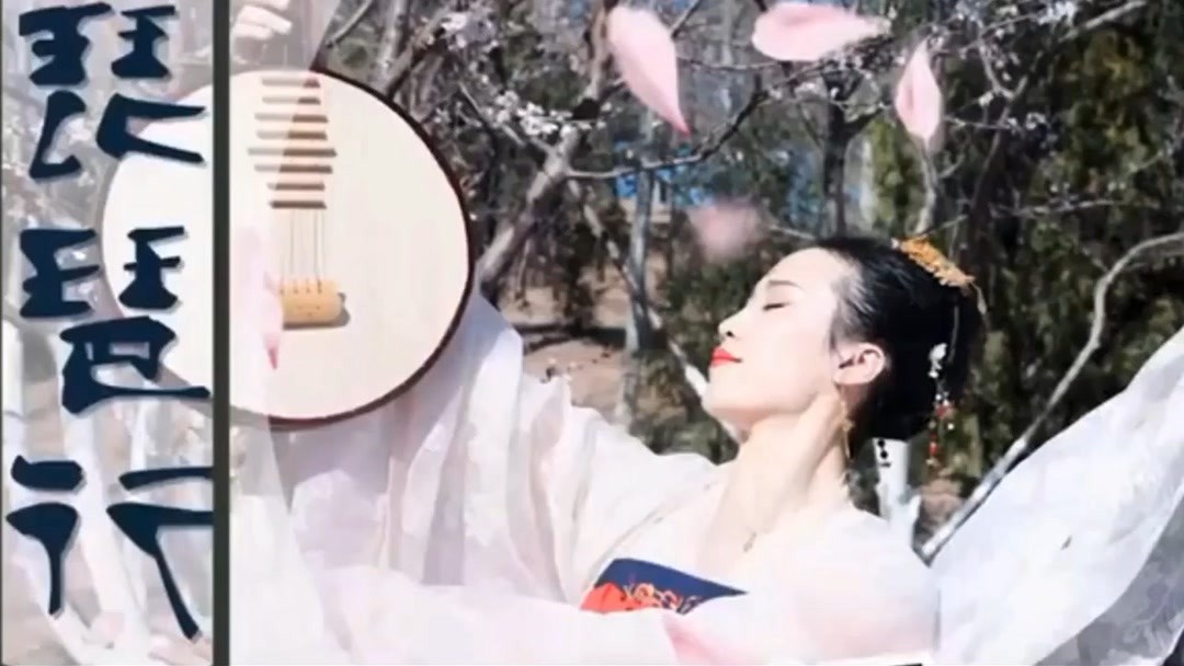 年度经典古风舞《琵琶行》教学版来了,正反面合集,快收藏吧!