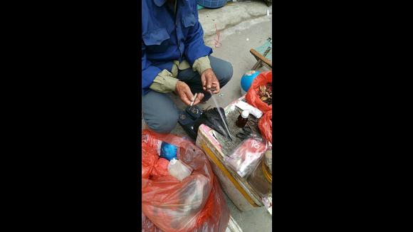 农村集市烟火气:织渔网