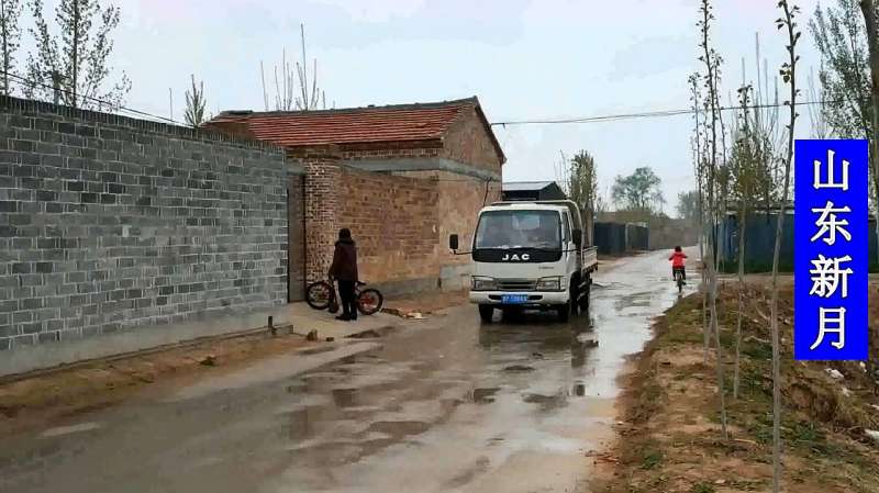 山东下雨啦,农村小伙实拍雨后村庄,看看啥变化?