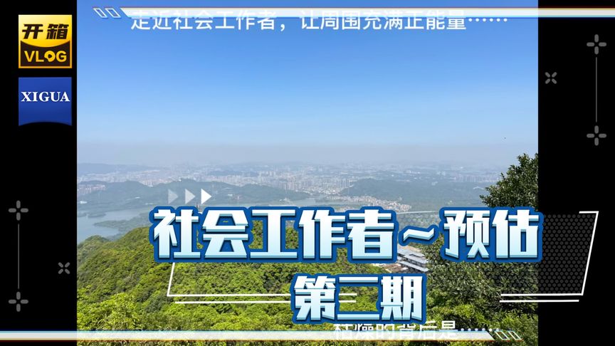 社会工作实务的过程(预估)