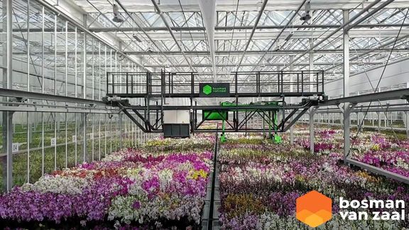 花卉工厂,智慧农业,很详细的流程。 #无土栽培 #自动化设备