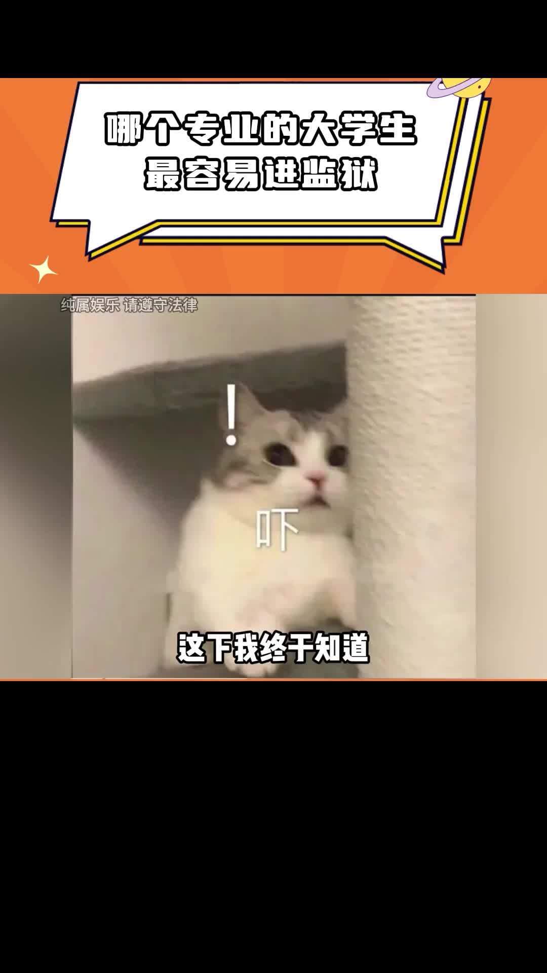 哪个专业的大学生最容易进监狱唱铁窗泪会计冷知识