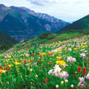 亮子喊你来看剧 