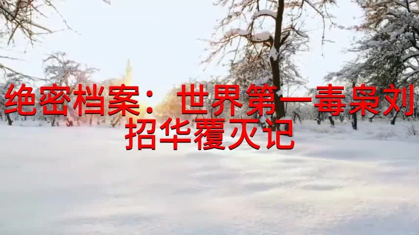 绝密档案:世界第一毒枭刘招华覆灭记