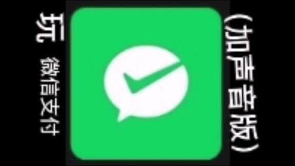 微信支付真好玩本次加了声音#微信 #聊天记录 #微信支付