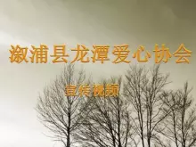 溆浦县龙潭爱心协会宣传片